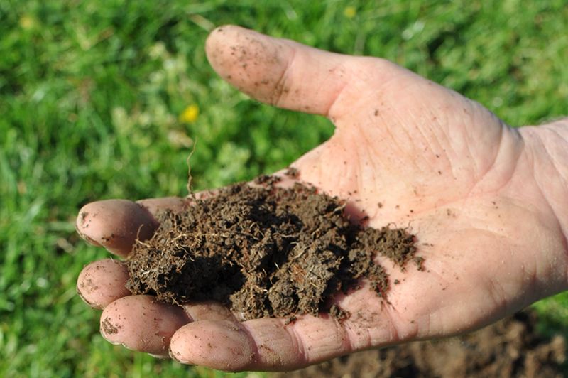 UKSoils | The community hub for all things soil